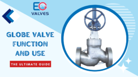 Ultimate Guide to Understand the Globe Valve Function and Use